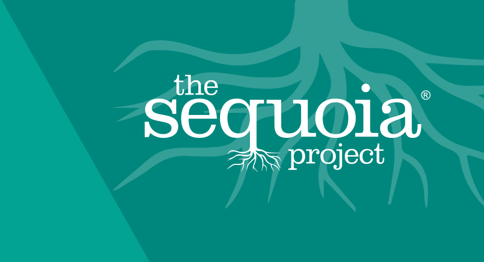 Meet the Team - The Sequoia Project