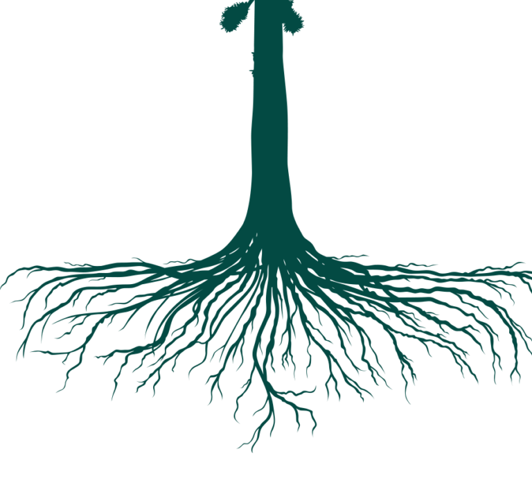Members - The Sequoia Project